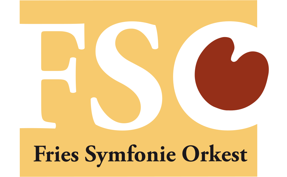 Opgaveformulier meespelen – FSO testsite